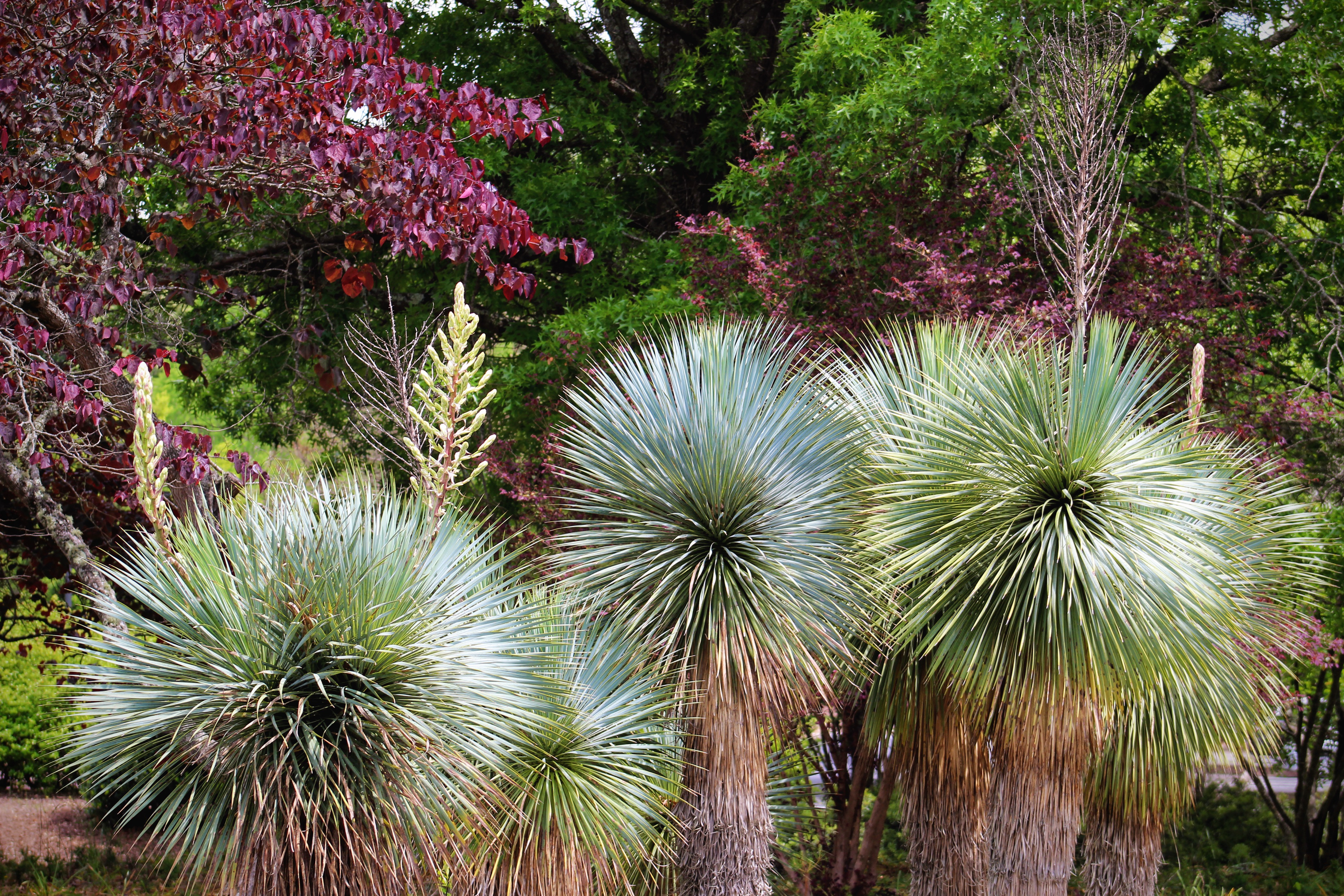 2023 CPC: Around the Garden – Gfpacificbee’s Insights & photography