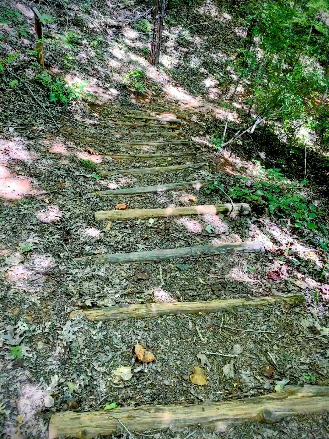 2023 CWWC: September-Any type of Step, Stairs Around Parks and Home ...