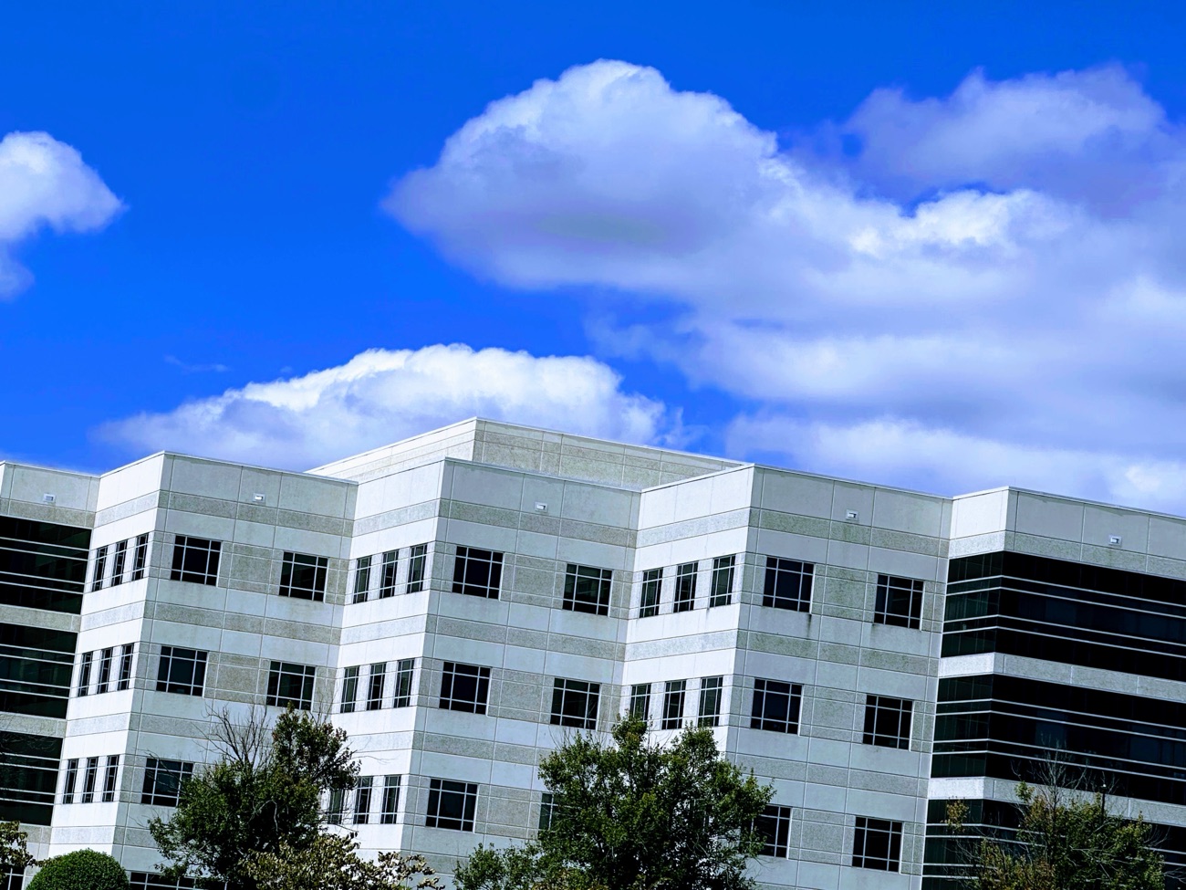 2024 Monday Window: 09.09 — Government Windows – Gfpacificbee’s ...