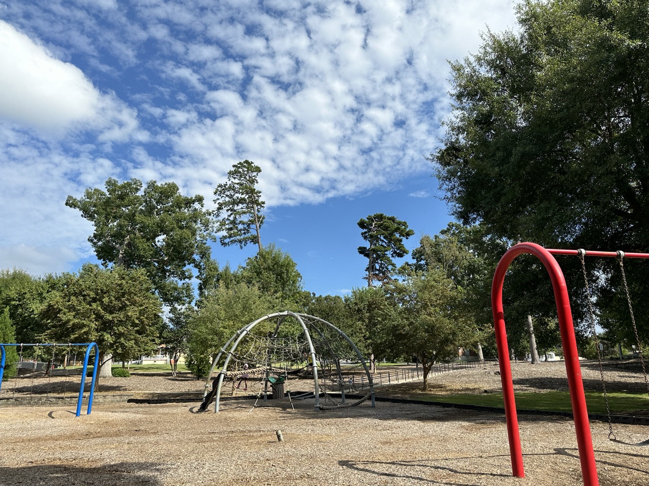 2024 CellPic Sunday: 09.08 — Lineberger Park – Gfpacificbee’s Insights ...