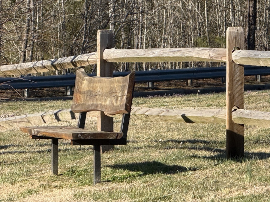 Pull Up a Seat on a Trail Bench – Gfpacificbee’s Insights & photography