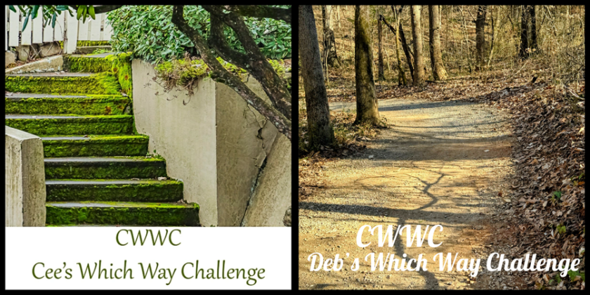 2025 Which Way Challenge (CWWC): 12.05 — Any Which Way (Your Choice ...