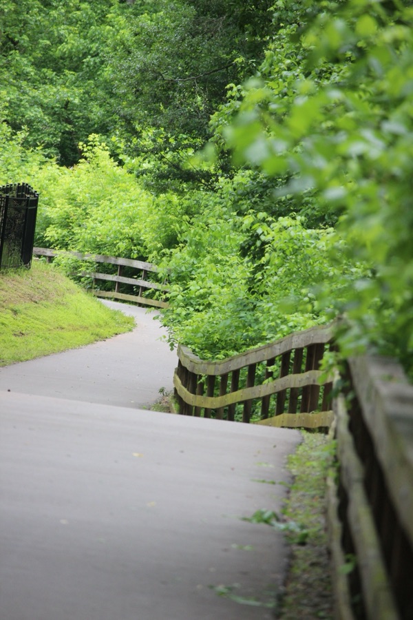 2025 LAPC #347 — Breaking the Rules – Gfpacificbee’s Insights & photography