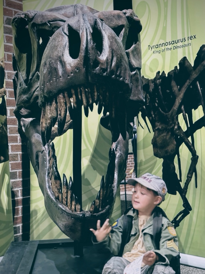 2025 OWS: 12 October — Teeth (of T-Rex) – Gfpacificbee’s Insights ...