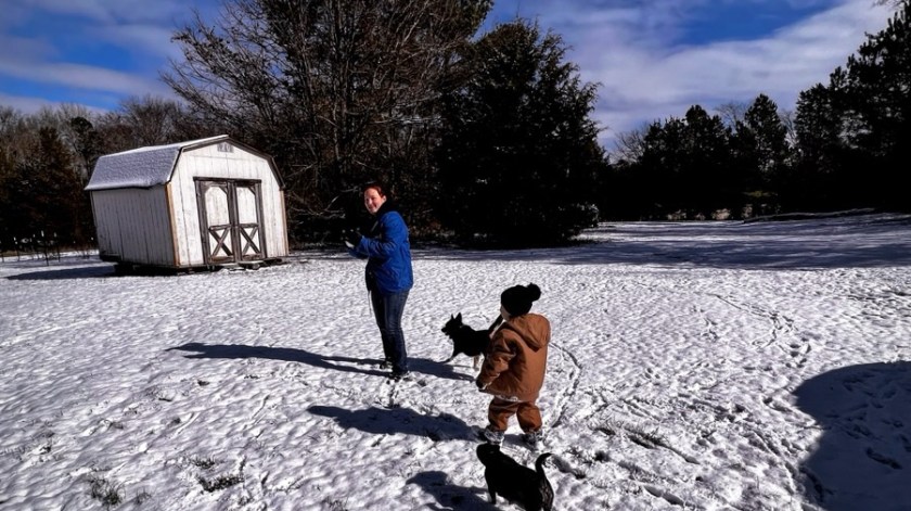 2025 Sunday Stills – Winter Wonderland and Monthly Color Challenge ...